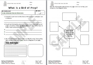 What is a Bird of Prey? 2 – Read Think Learn